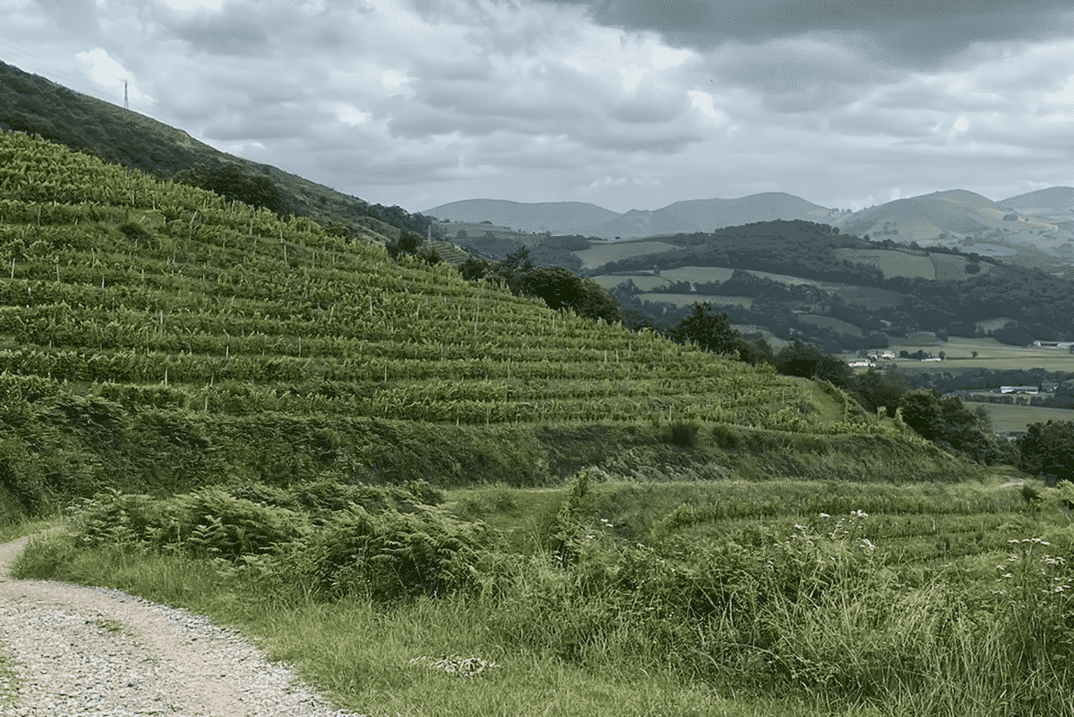 Les 8 plus beaux villages du Bearn