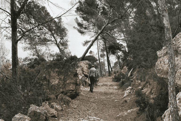 Les 12 plus belles randonnées à faire à Majorque