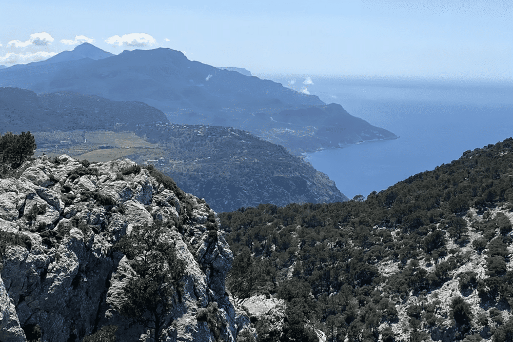 Les 5 meilleurs hôtels en bord de mer à Majorque