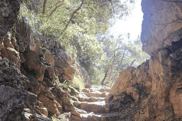 Les 12 plus belles randonnées à faire à Majorque