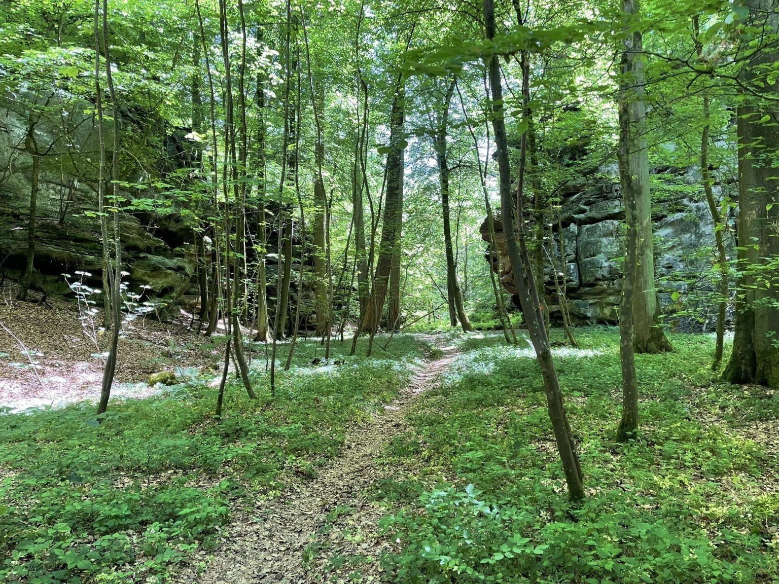 Les 11 plus belles randonnées à faire au Luxembourg