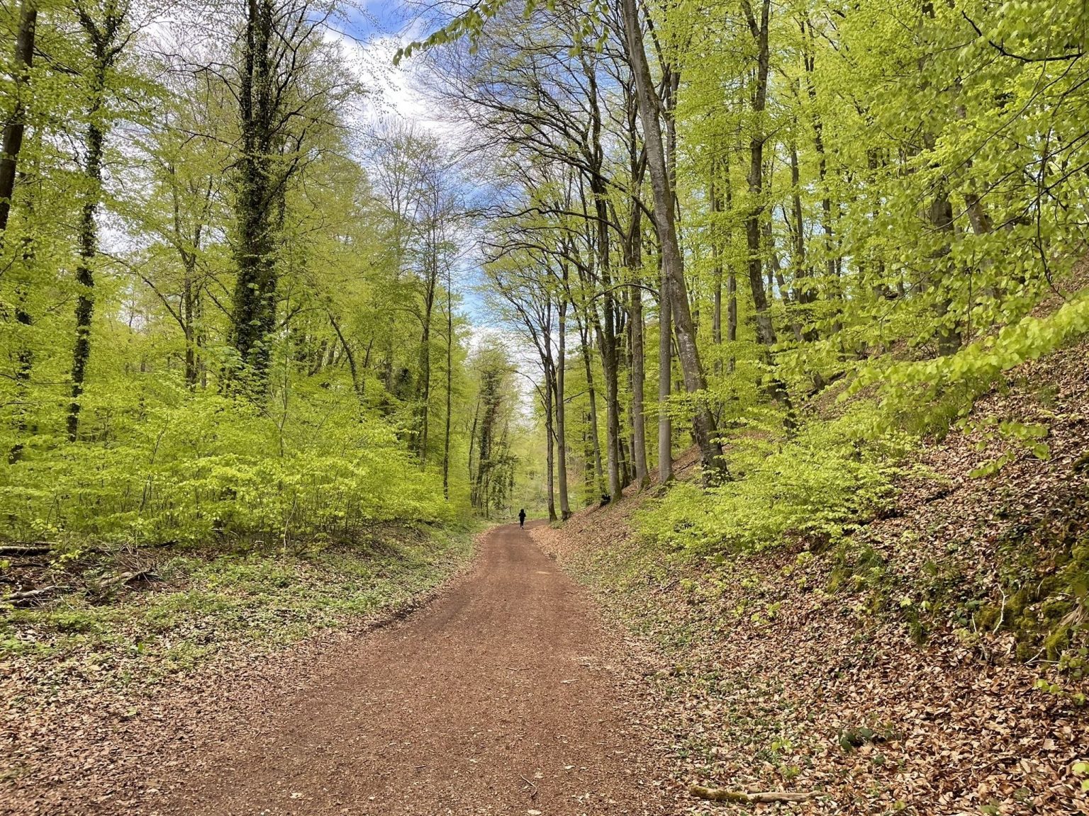 Les 11 plus belles randonnées à faire au Luxembourg