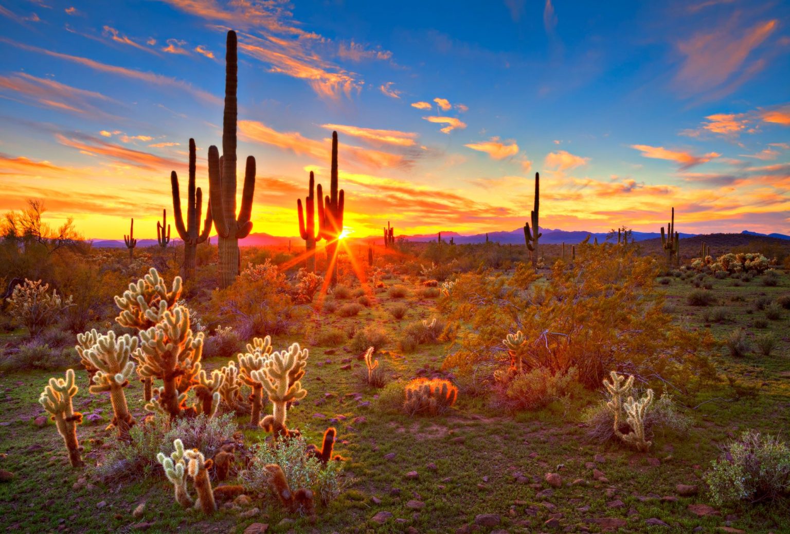 10 destinations de vacances sublimes dans le désert