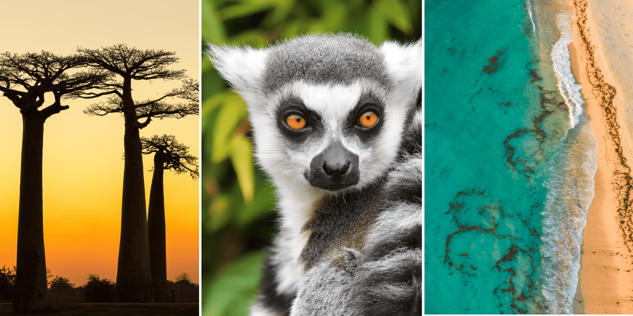 La Guelta d'Archei, une oasis surprenante au Tchad