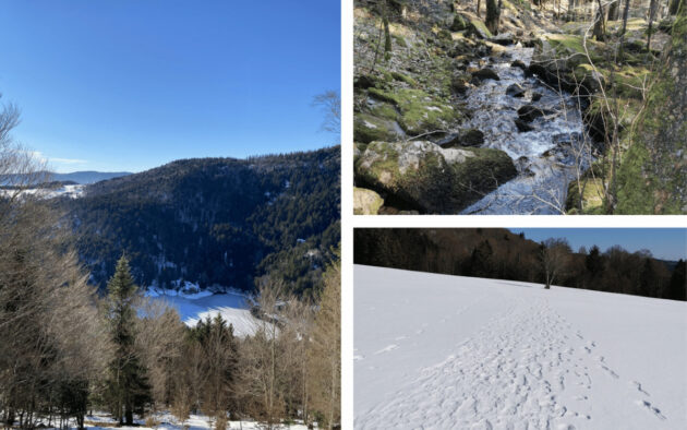 Les 5 meilleures randonnées en raquettes dans les Vosges