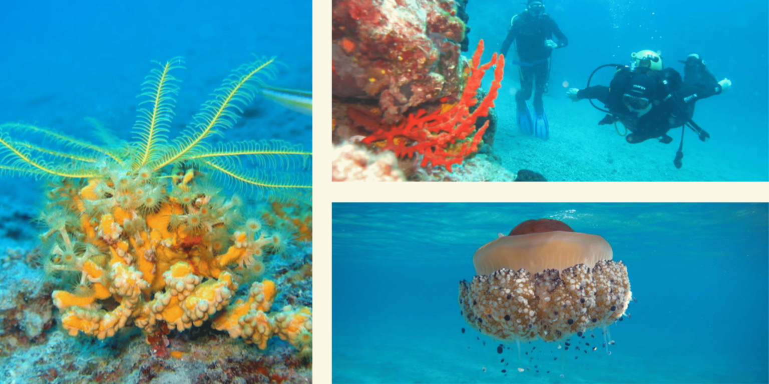 5 activités à sensations fortes pour votre séjour à Split