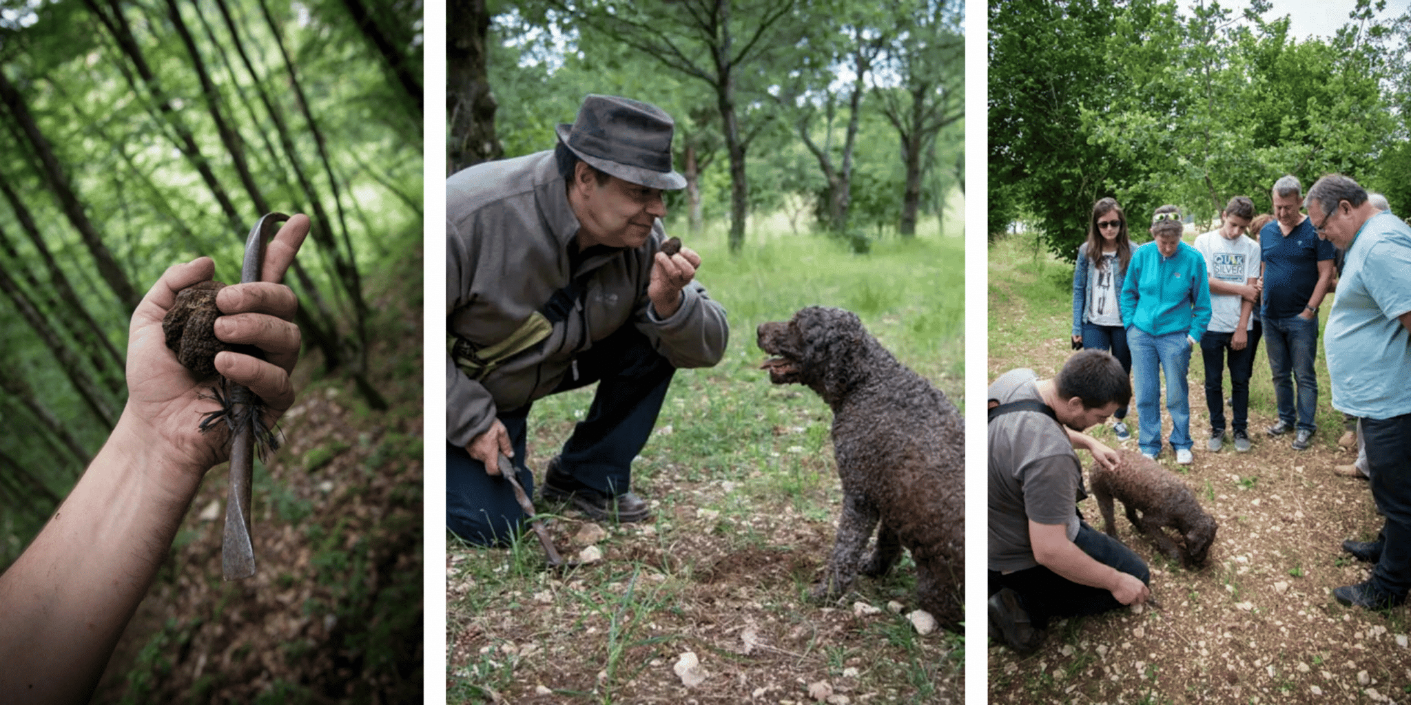 10 idées pour organiser un weekend en amoureux en Bourgogne