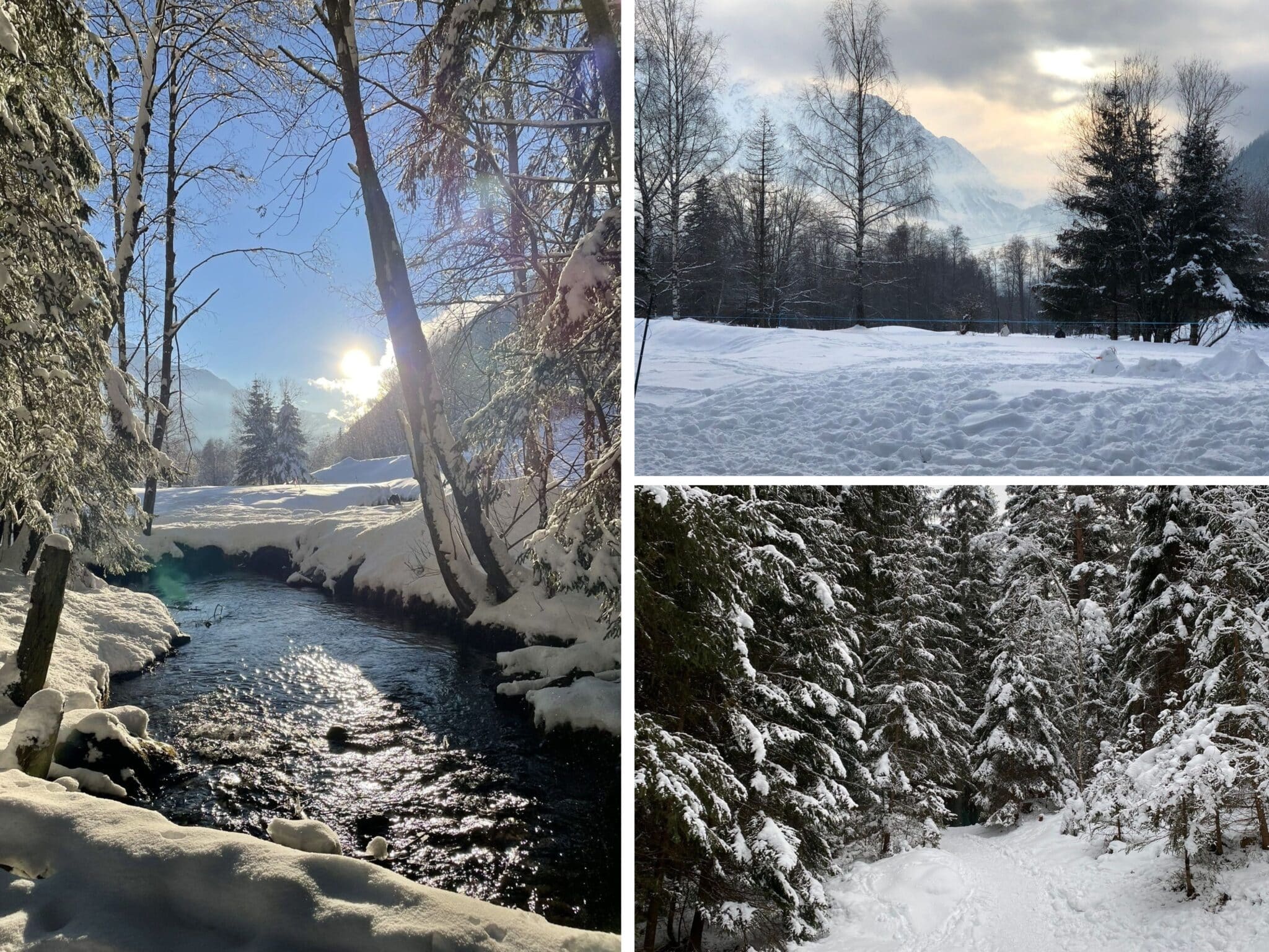 Les 3 meilleures randonnées en raquettes à Chamonix