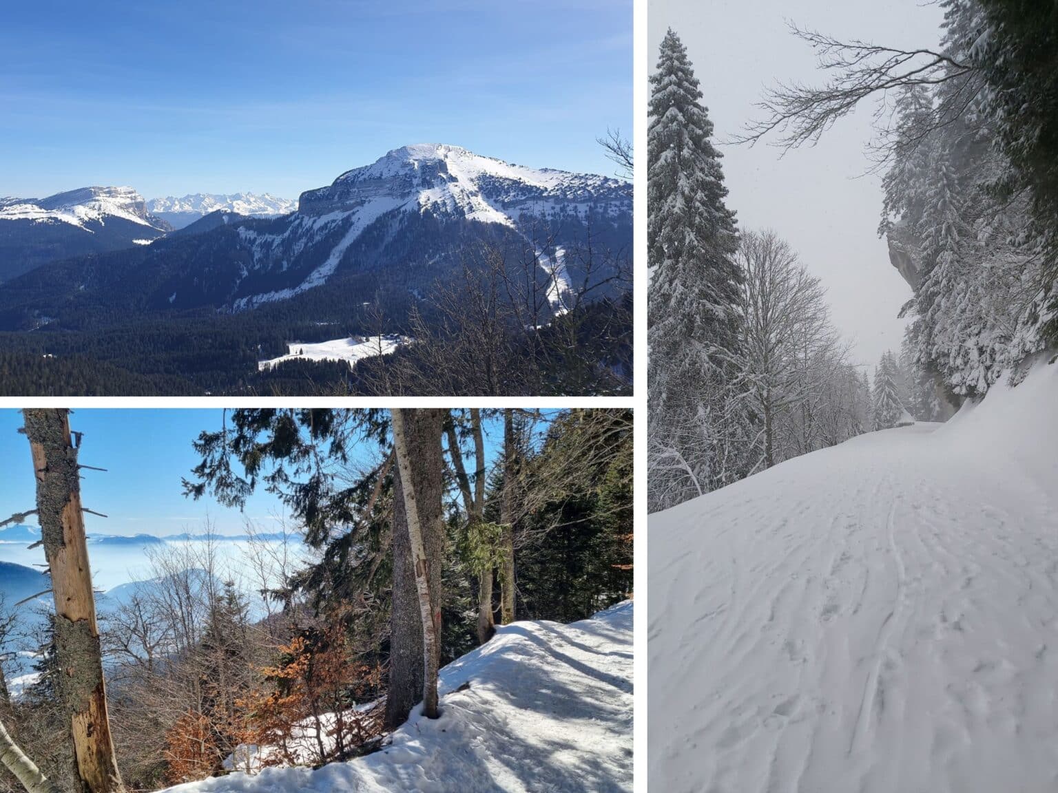 Les 5 meilleures randonnées en raquettes de Chartreuse