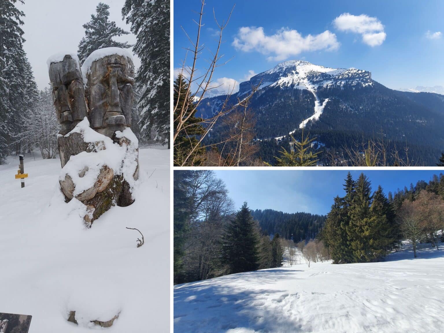 Les 5 meilleures randonnées en raquettes de Chartreuse