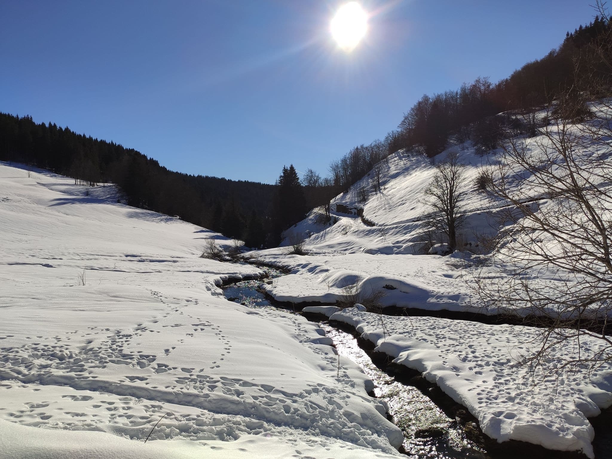 Les 5 meilleures randonnées en raquettes dans le Jura