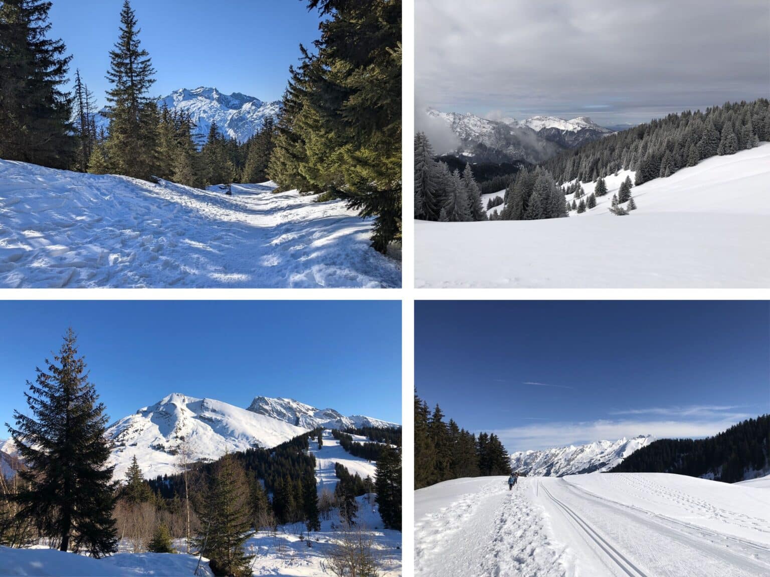 Les 4 meilleures randonnées en raquettes à La Clusaz