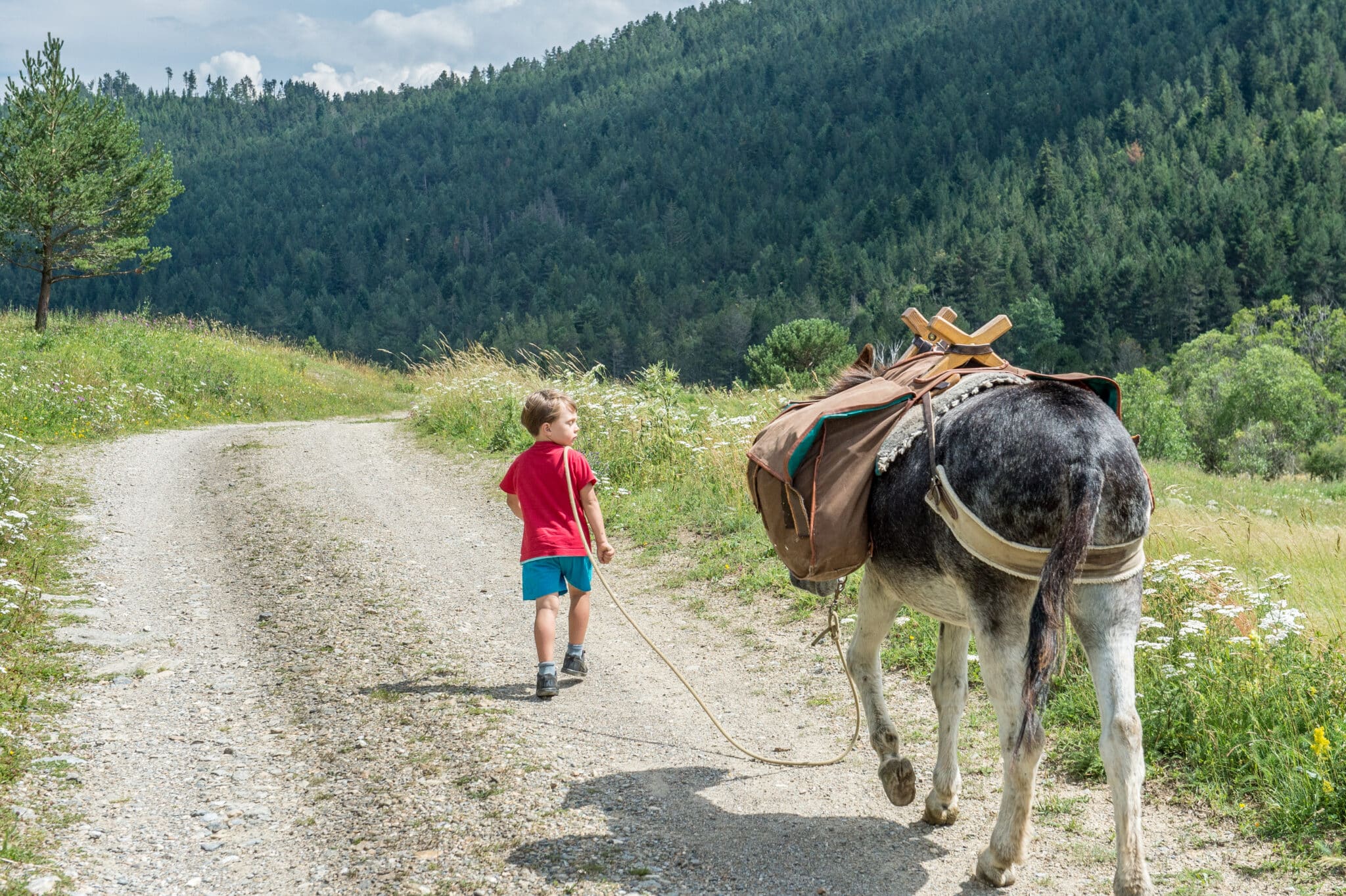 7 voyages d’aventure inoubliables à faire en famille