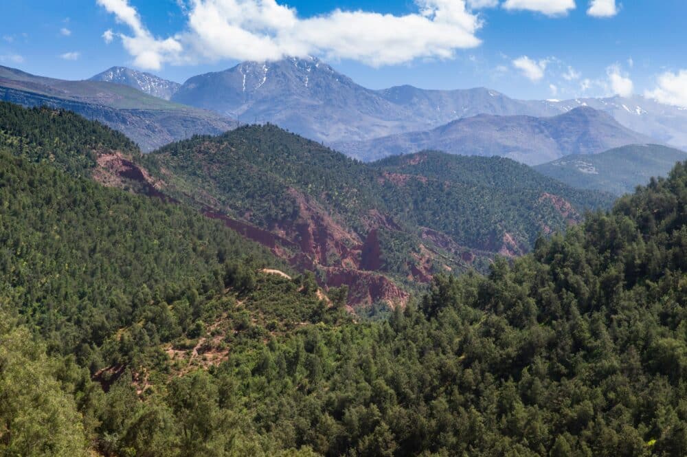 Les plus belles oasis à explorer près de Marrakech