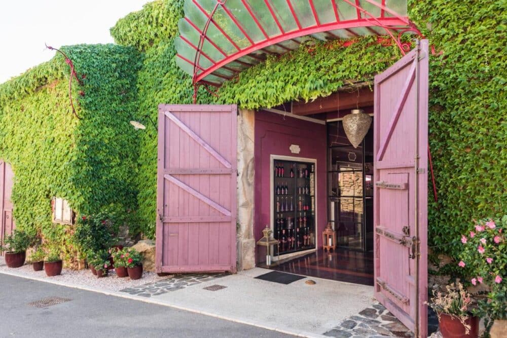 4 caves à Montpellier pour se délecter des vins enchanteurs du Languedoc