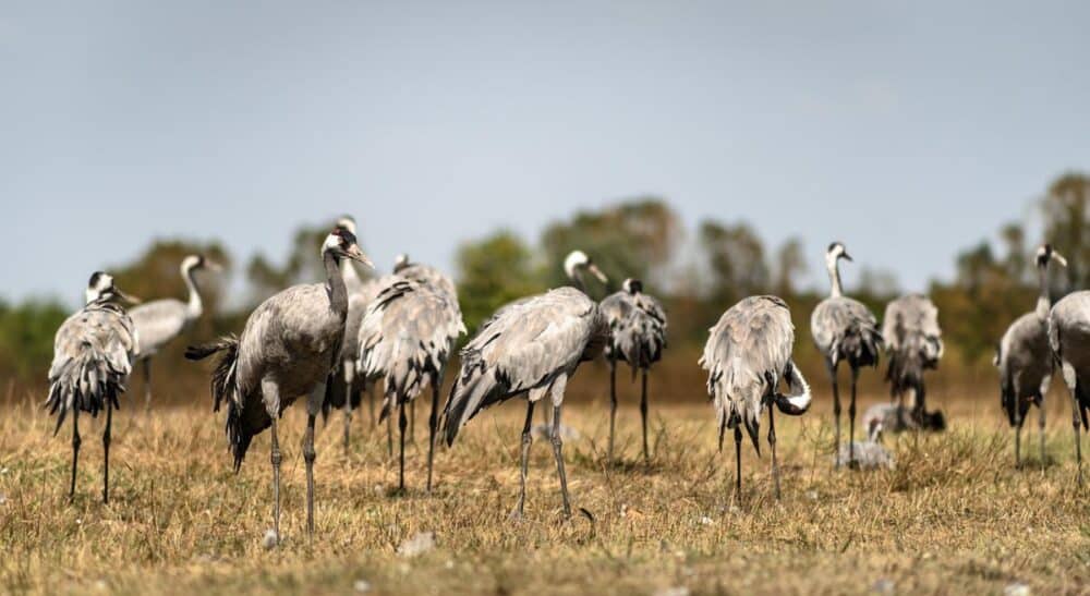 5 facettes de la Hongrie à connaître pour un premier voyage