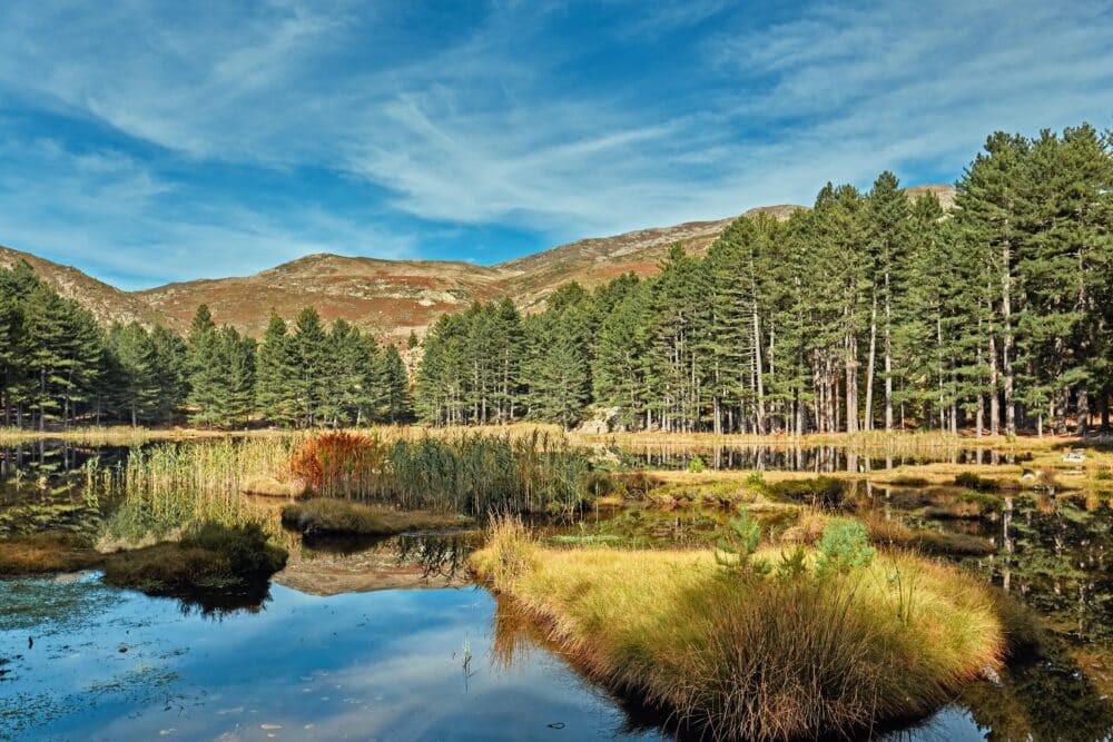 Les 6 plus beaux lacs de Corse à voir absolument