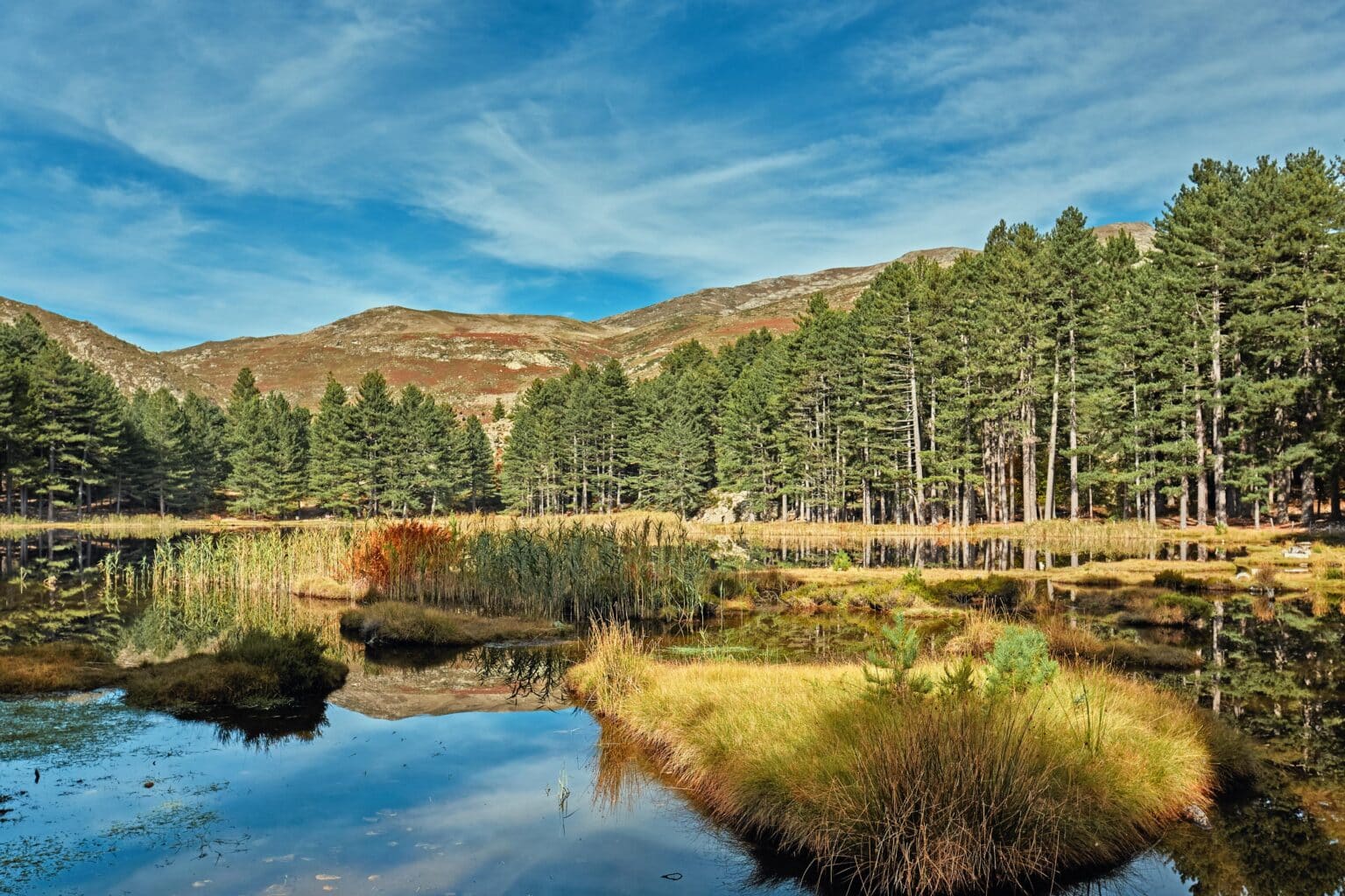 Les 6 plus beaux lacs de Corse à voir absolument