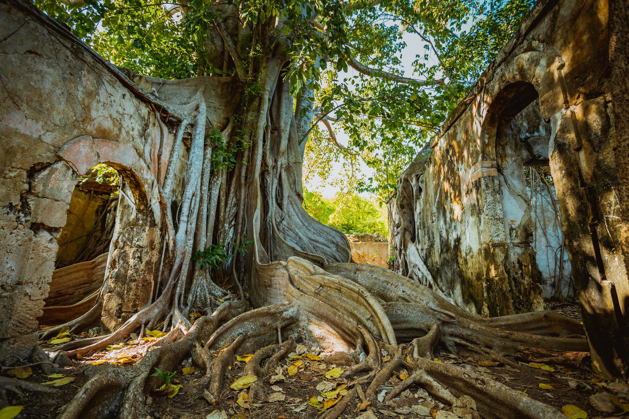 Les 9 lieux emblématiques de l'héritage colonial en Guadeloupe