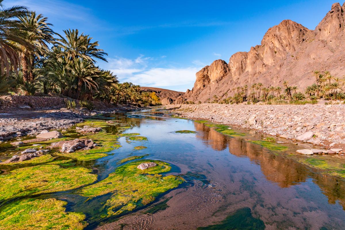6 oasis verdoyantes à explorer dans le désert marocain