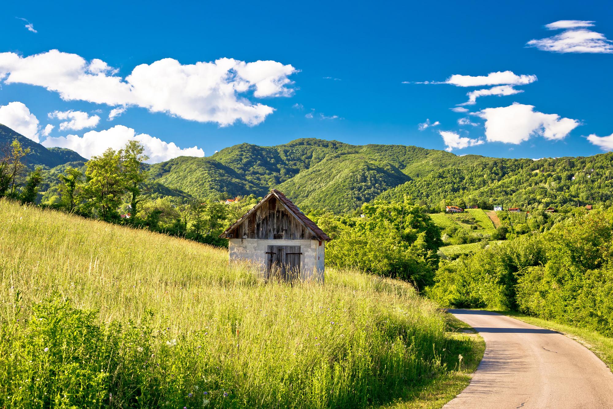 Les 5 plus belles forêts de Croatie pour s'évader dans la nature