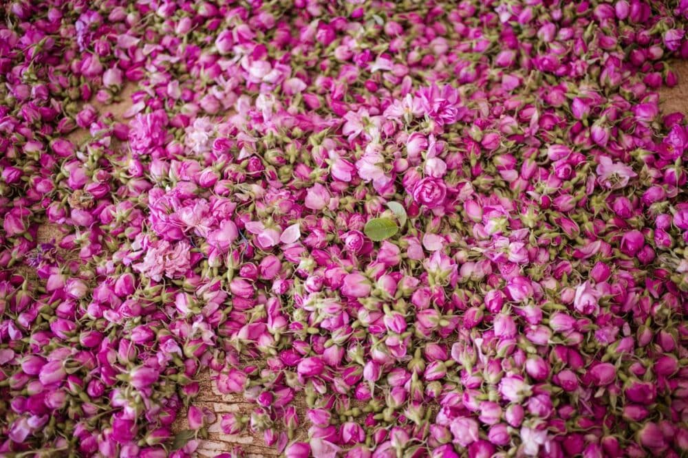 9 fêtes traditionnelles pour s'imprégner à fond du Maroc
