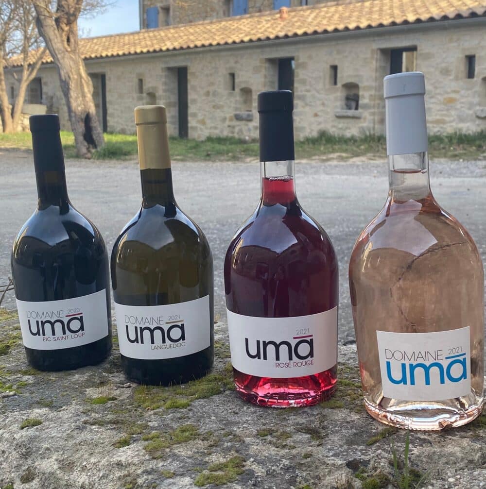 4 caves exceptionnelles à ne pas manquer autour de Montpellier