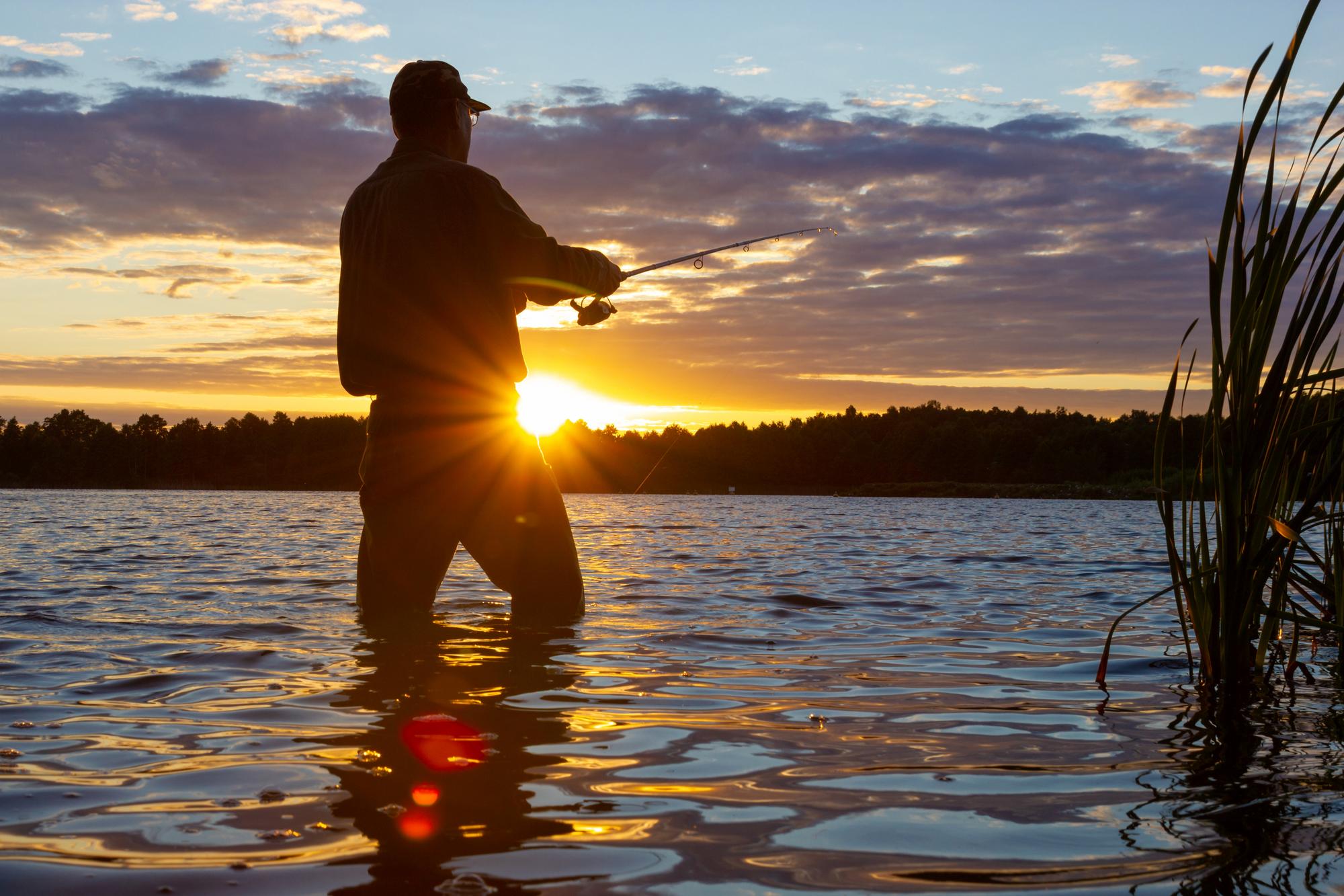 10 activités au bord de la mer à proximité de Montpellier