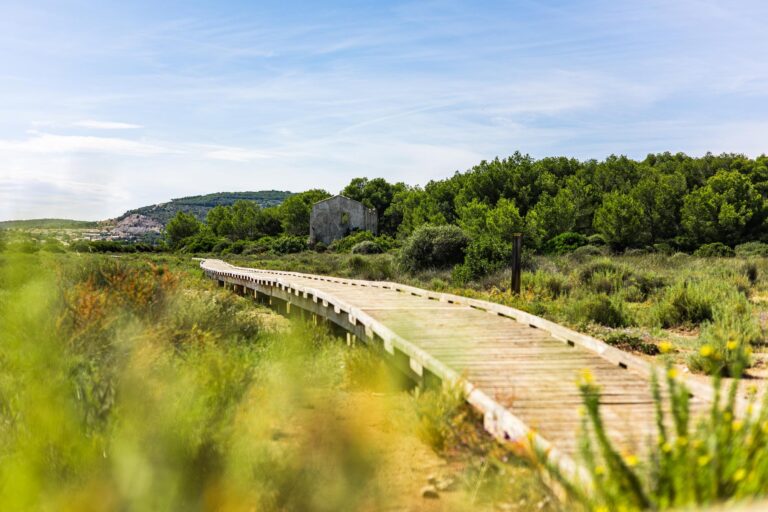 10 activités au bord de la mer à proximité de Montpellier