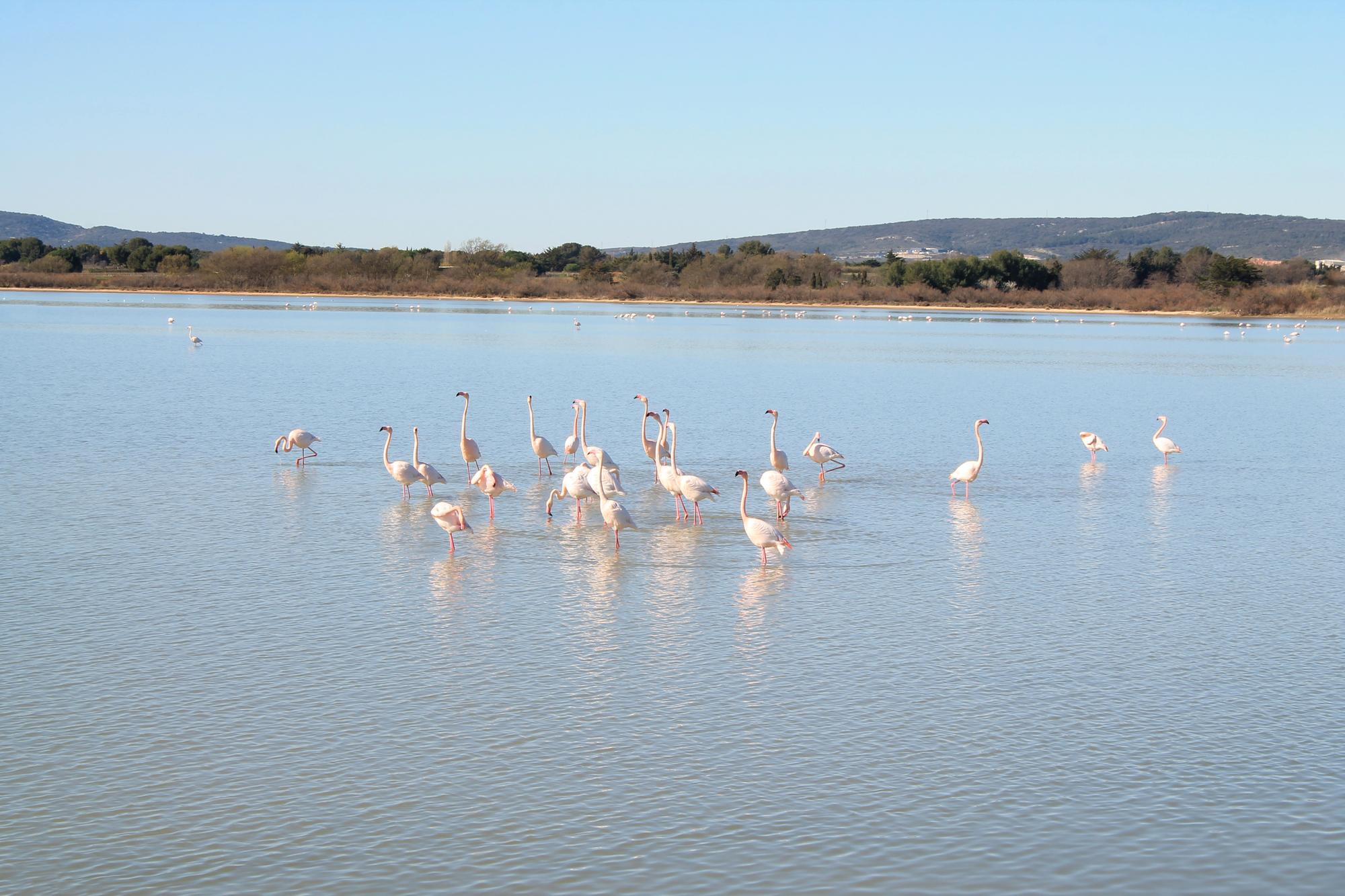 10 activités au bord de la mer à proximité de Montpellier