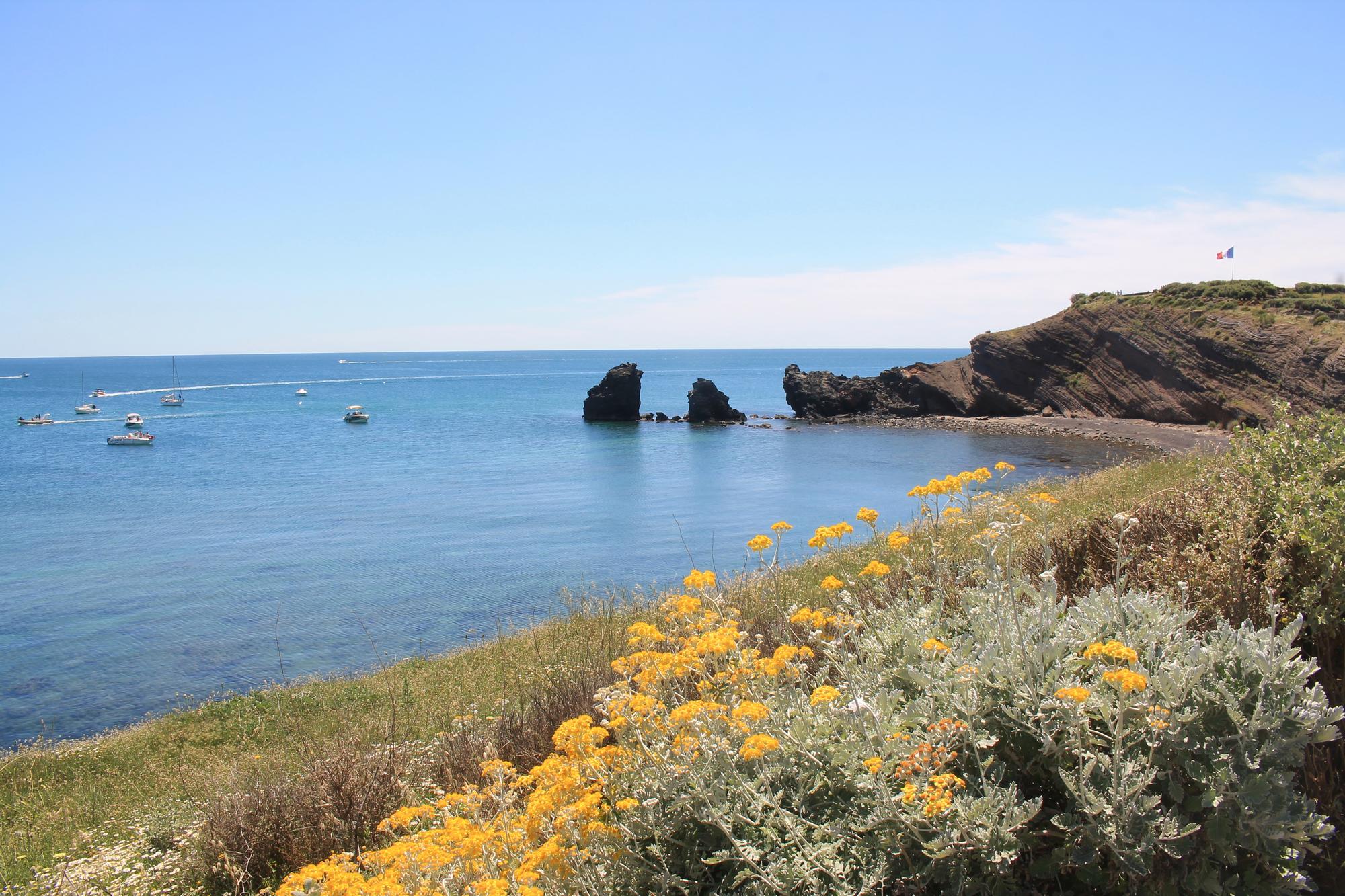 10 activités au bord de la mer à proximité de Montpellier