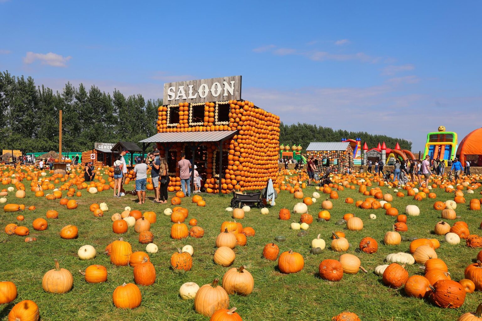 5 activités & visites à faire à Montréal en automne