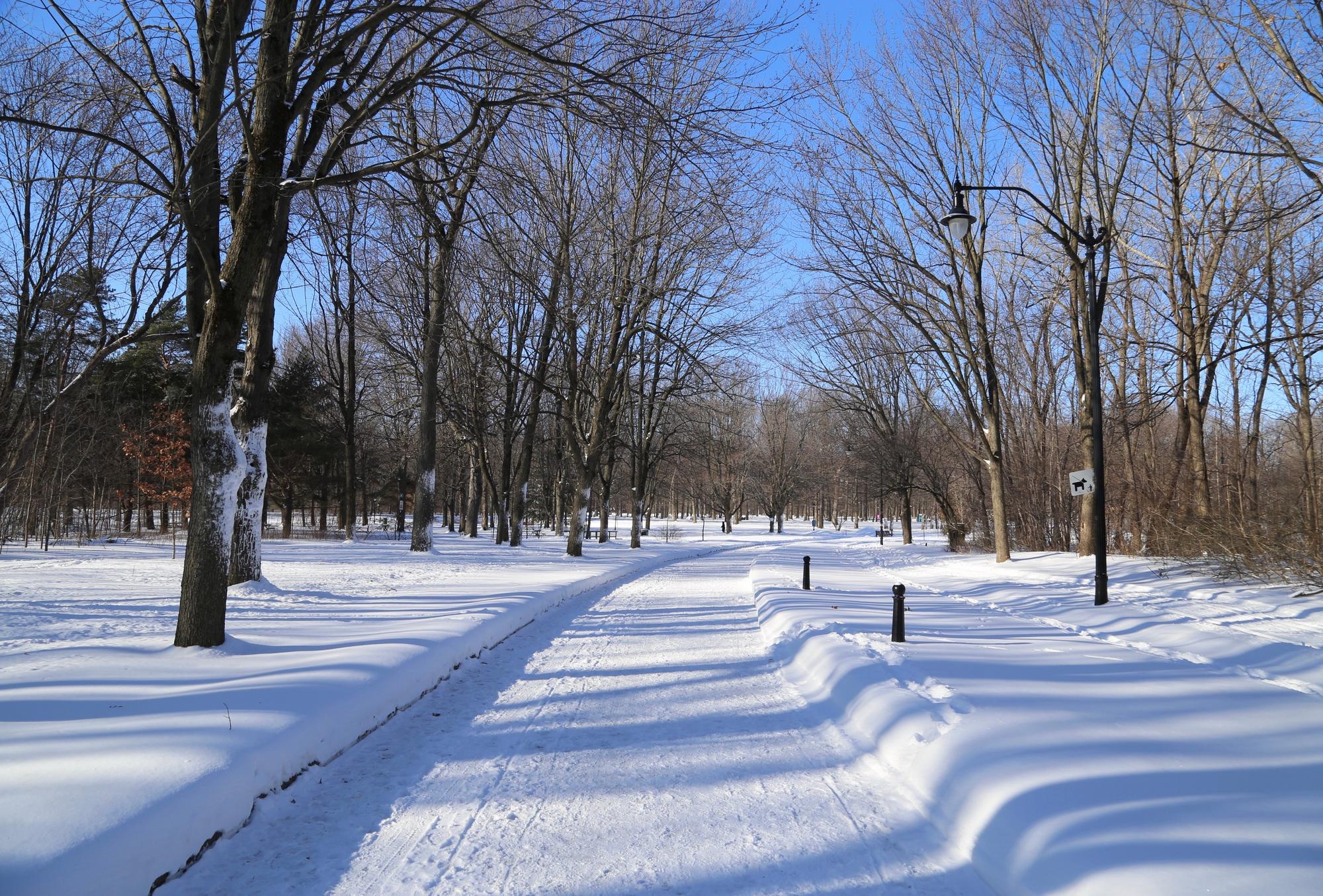 5 espaces verts à Montréal pour une pause nature en ville