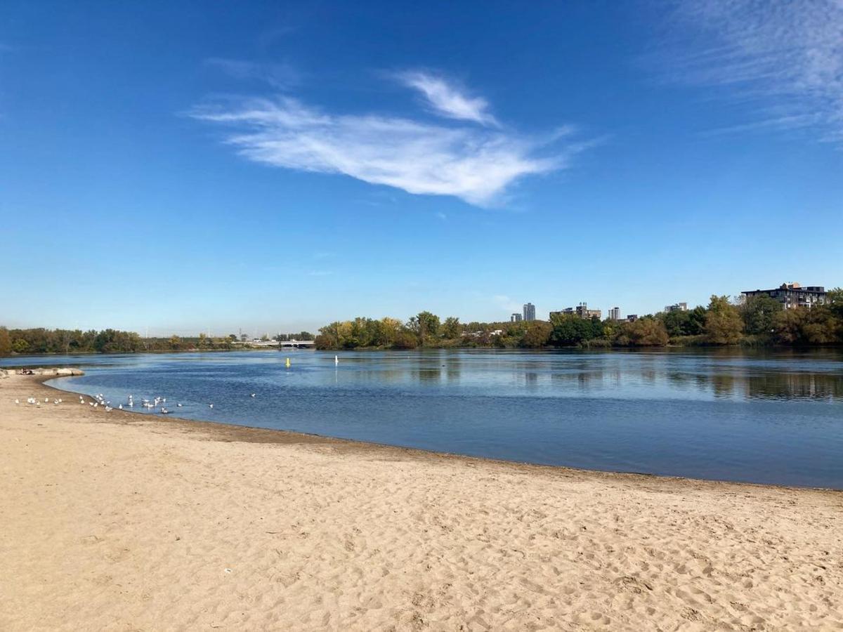 4 activités à faire sur le Saint-Laurent à Montréal