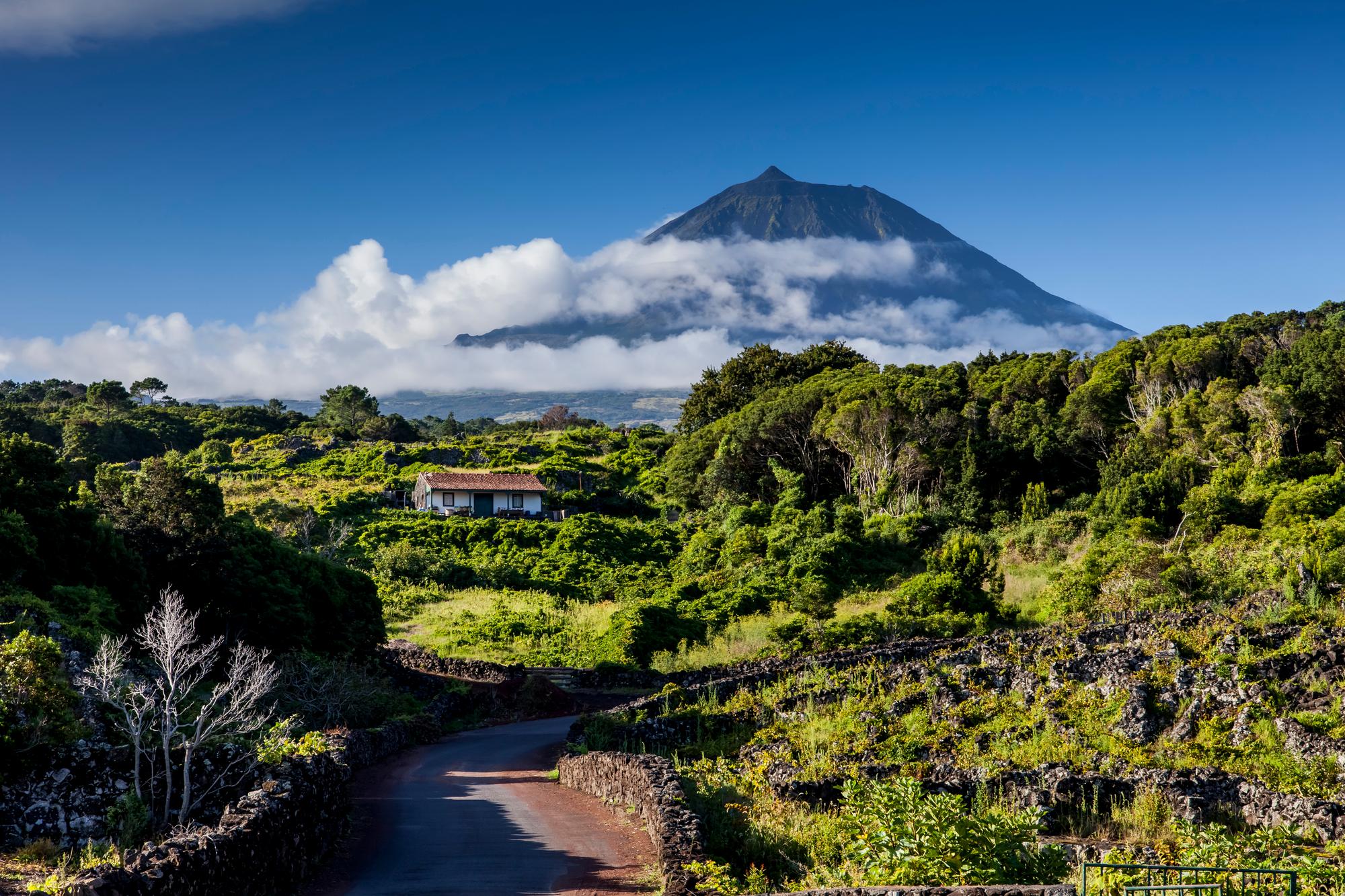 10 réserves et parcs des Açores à visiter