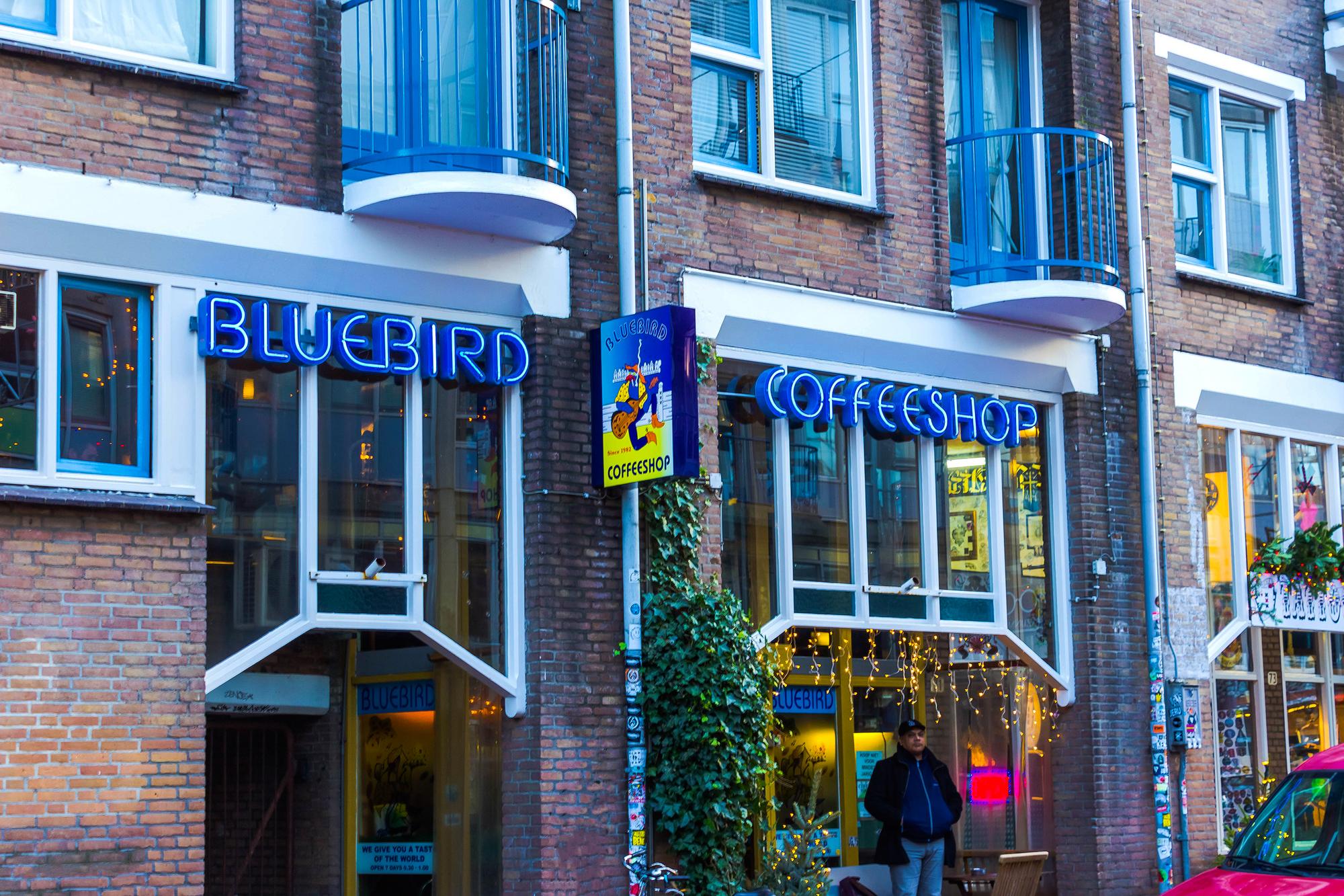 Les 7 coffee-shops historiques d'Amsterdam
