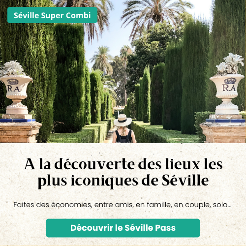 Cartes et plans détaillés de Séville