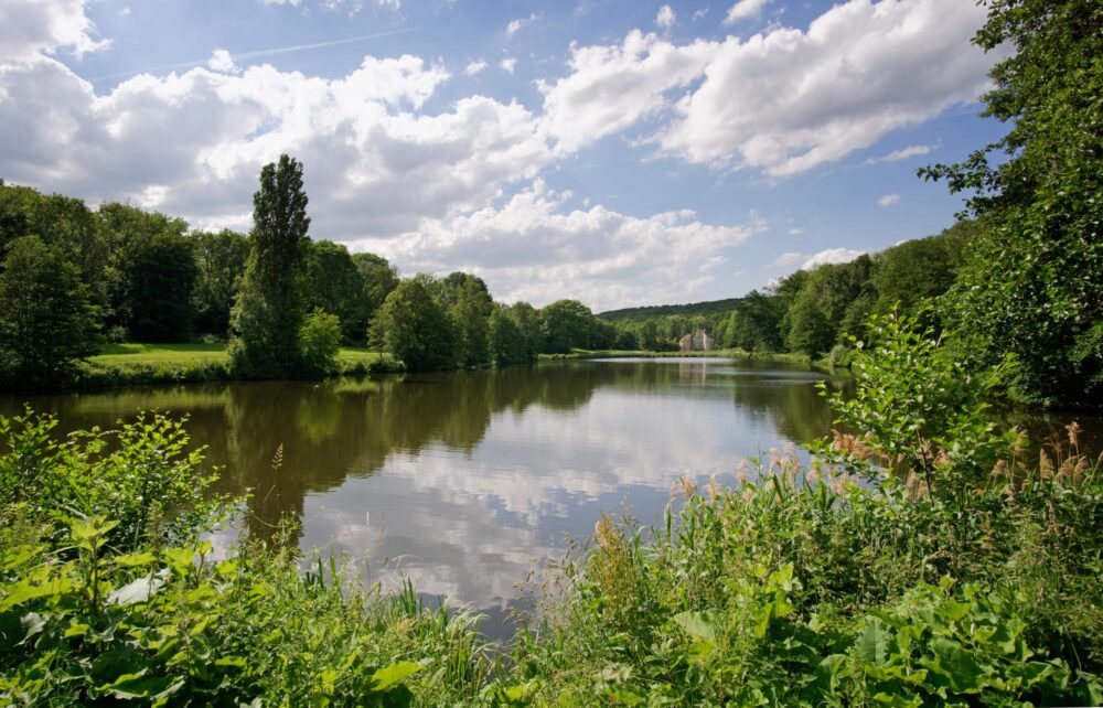 Les 7 forêts à visiter autour de Paris