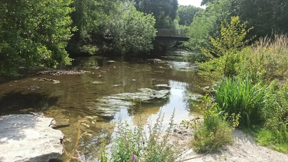 Les 7 forêts à visiter autour de Paris