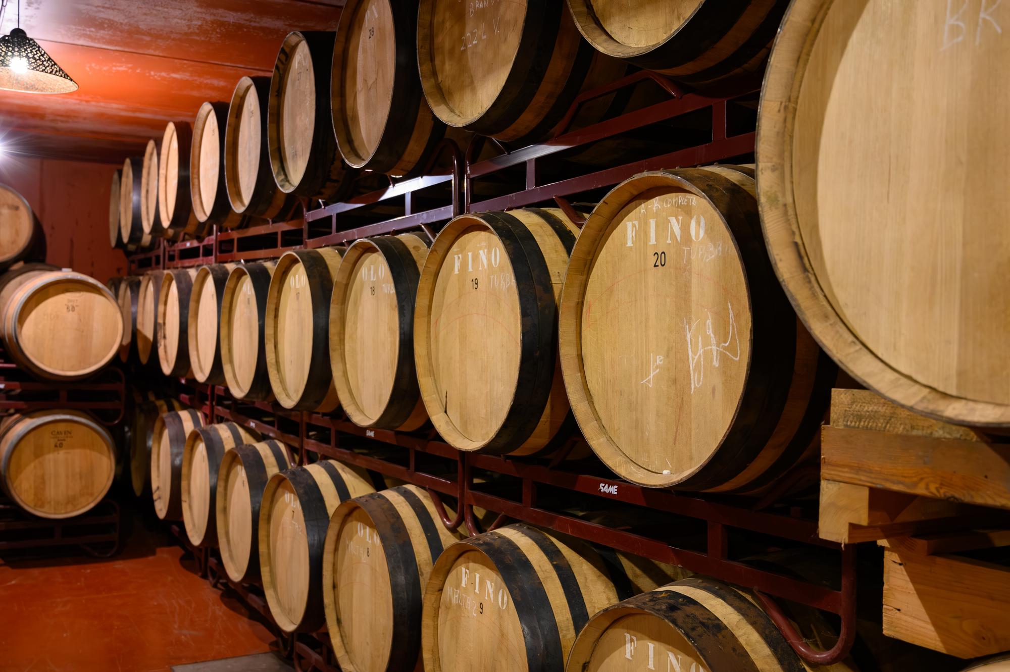 Les 8 routes du vin à parcourir en Espagne