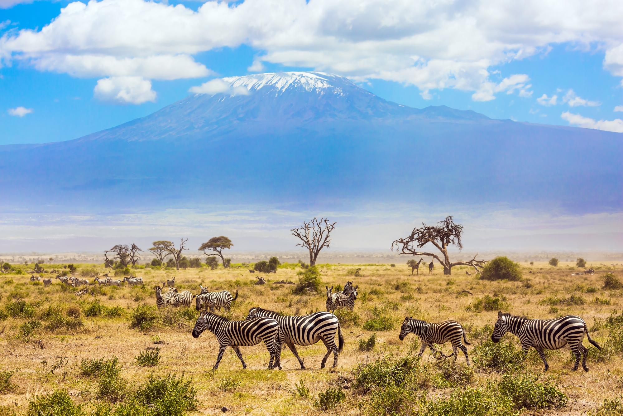 Les 5 plus beaux parcs nationaux à explorer en Tanzanie