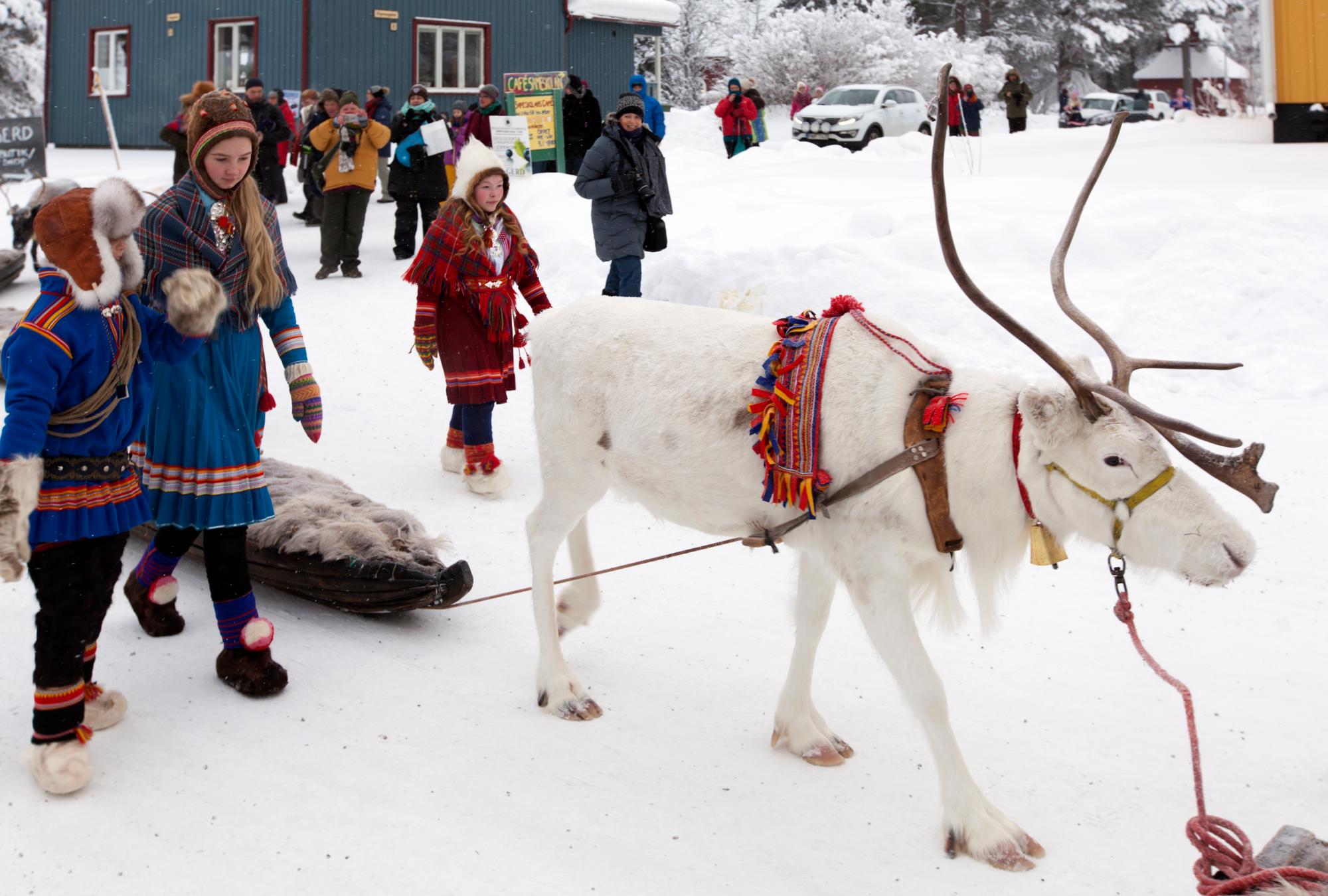 Les 6 activités incontournables pour découvrir la culture Sami autour ...
