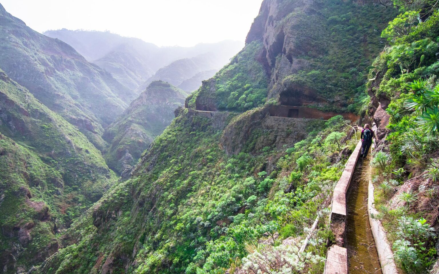 7 endroits incroyables où observer la faune et la flore aux Canaries