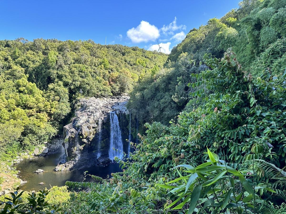 Les 10 plus belles cascades et bassins de La Réunion
