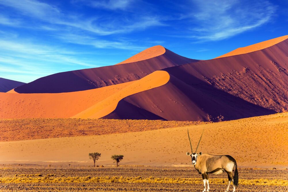 Les 4 dunes immanquables à escalader en Namibie