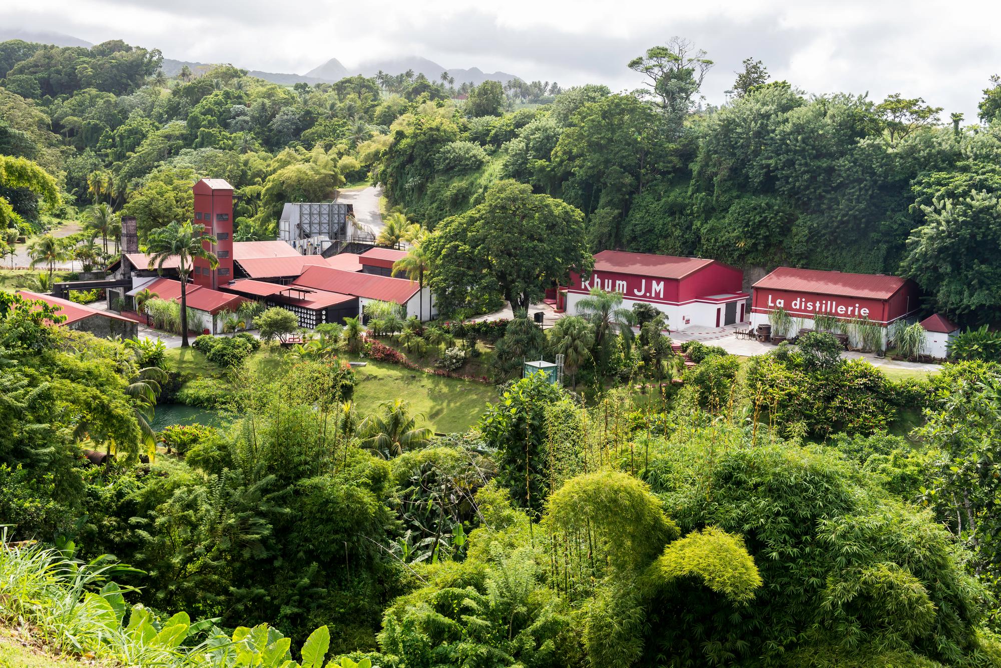 Les 5 distilleries emblématiques à visiter en Martinique