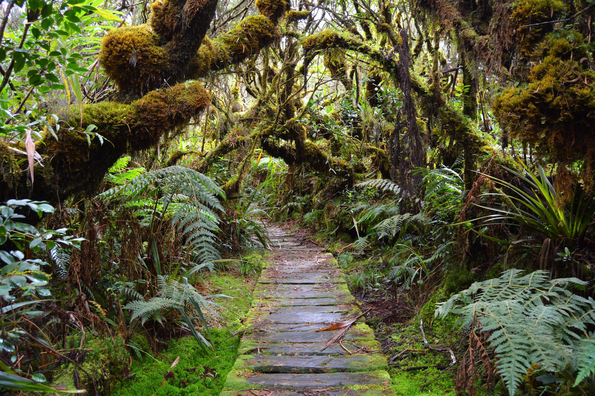 Les 7 sites classés à l'UNESCO à visiter à la Réunion