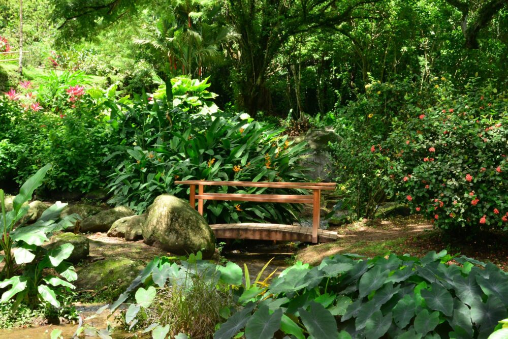 Les 10 plus beaux sites et monuments historiques de Martinique