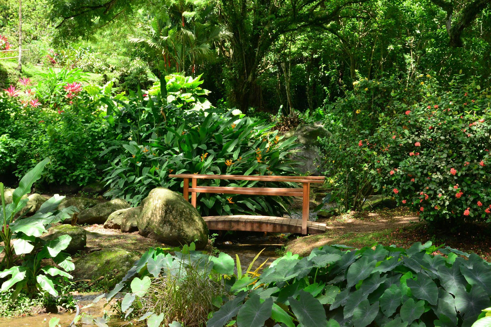 Les 10 plus beaux sites et monuments historiques de Martinique