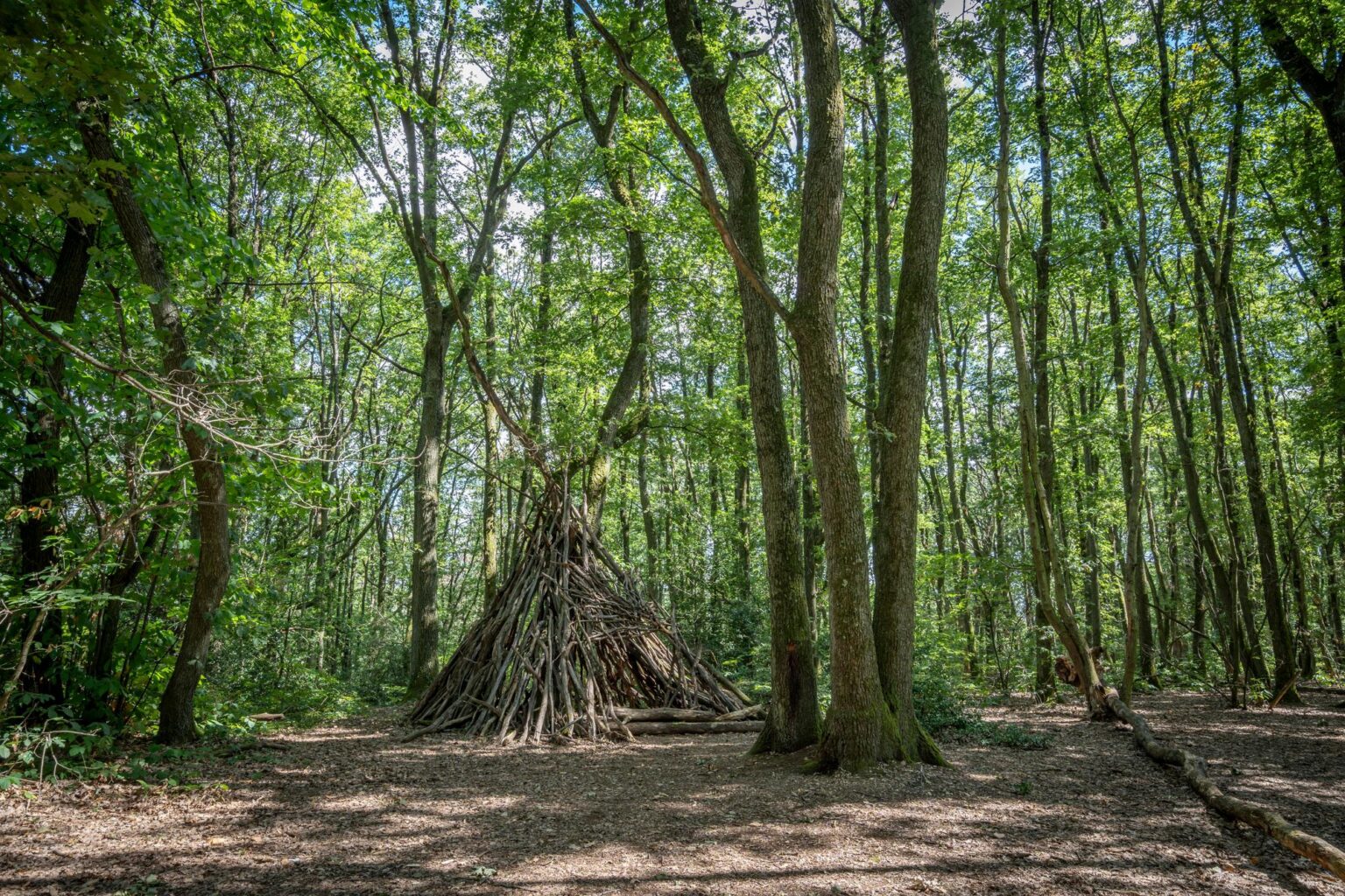 5 lieux magiques autour de Lyon pour se reconnecter avec la nature